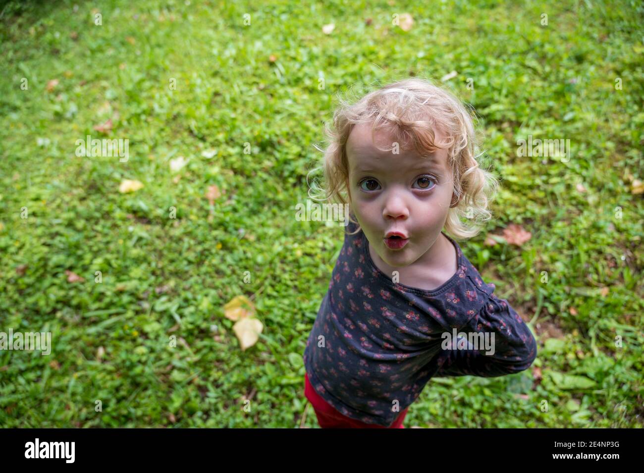 Drop down portrait of cute girl making faces Stock Photo - Alamy