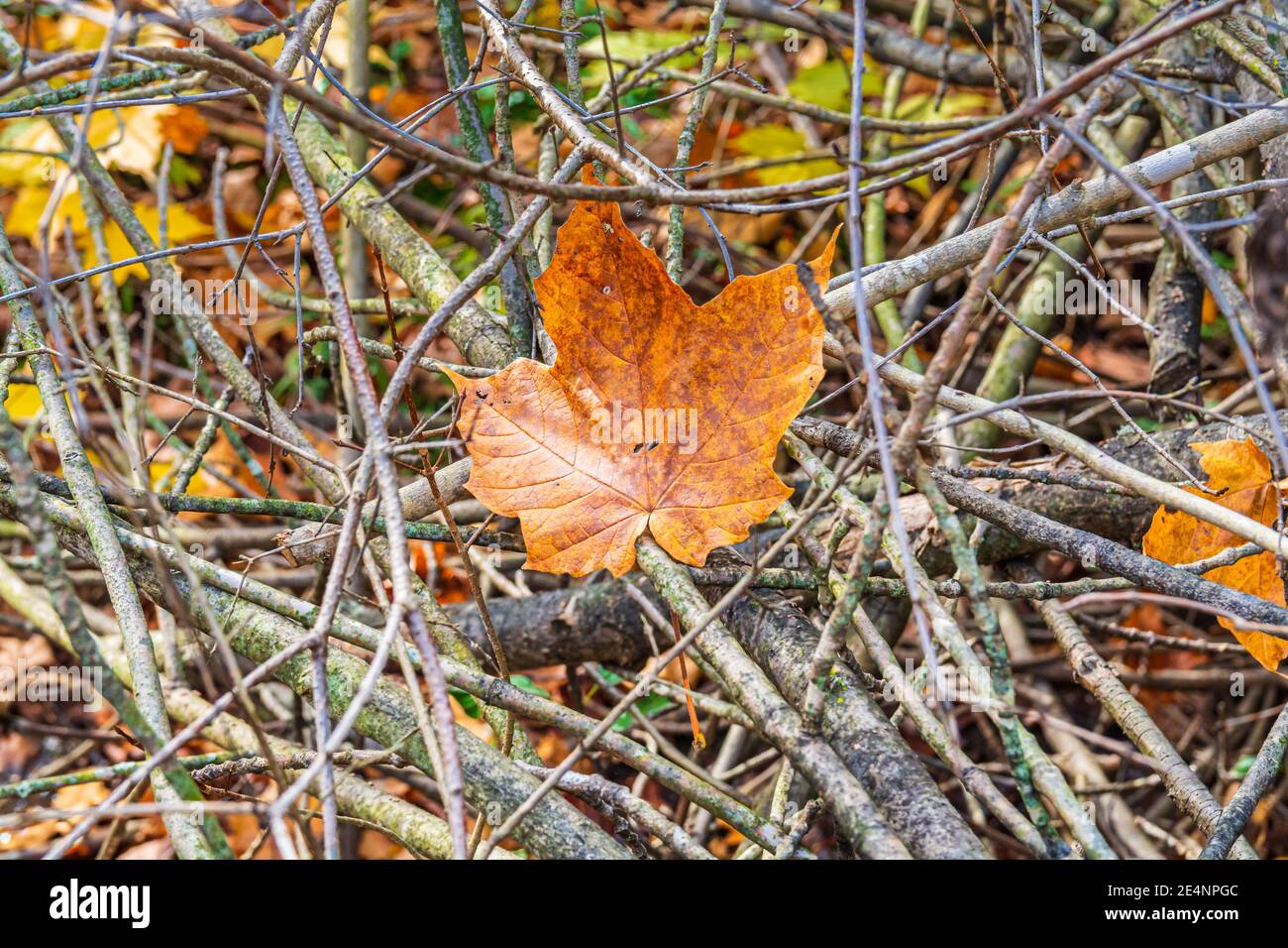 Hilton Falls Conservation Area Hamilton Ontario Canada Stock Photo - Alamy