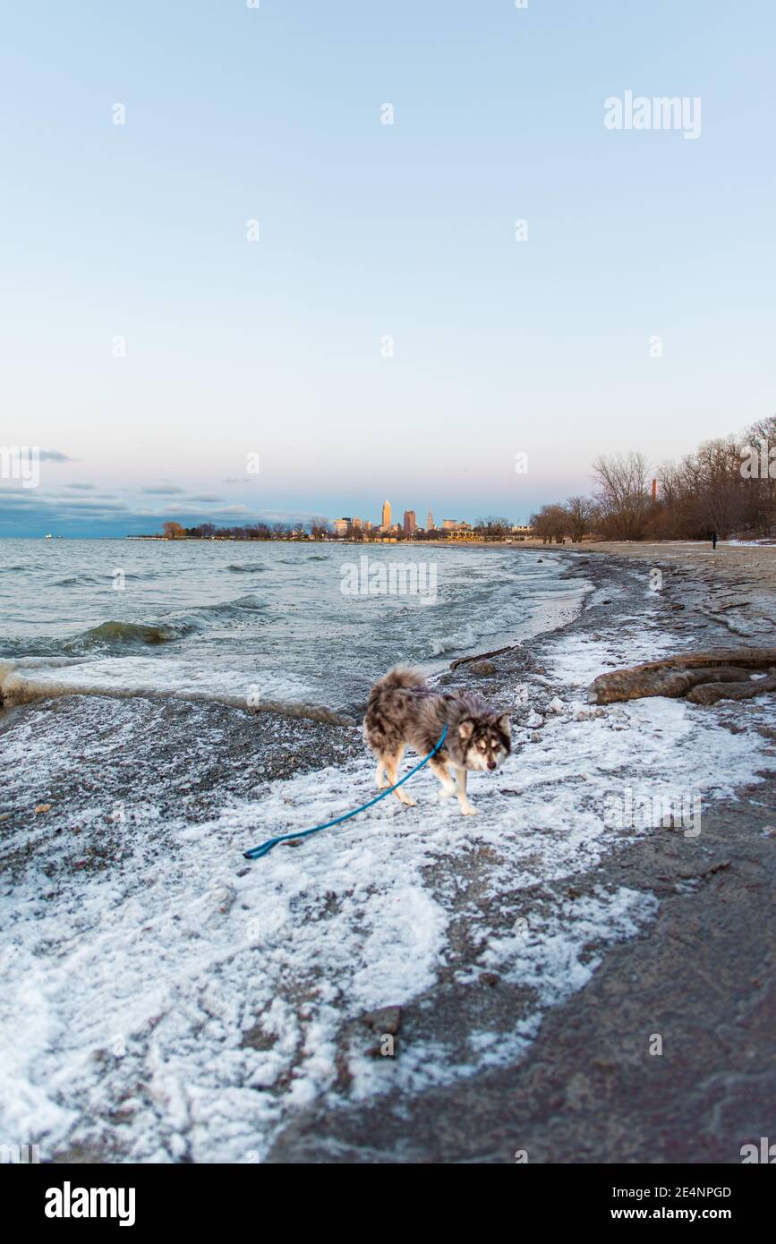 Cleveland metroparks beach hi-res stock photography and images - Alamy