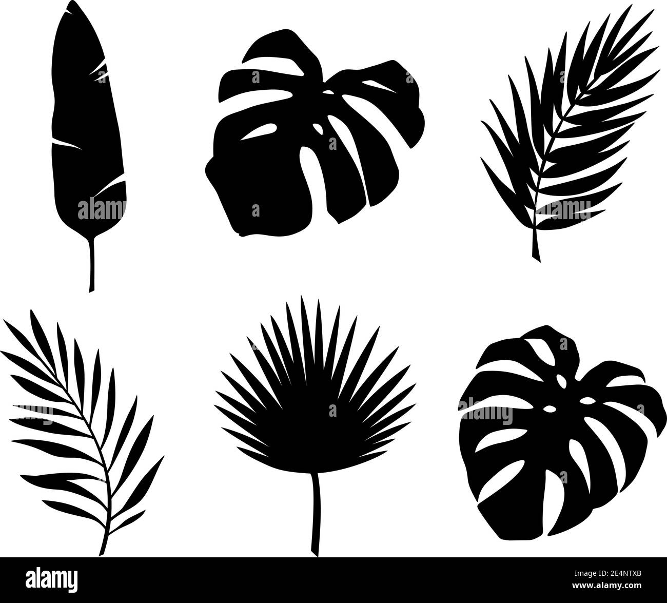 Set of black silhouettes of tropical leaves (monstera, palm leaf ...