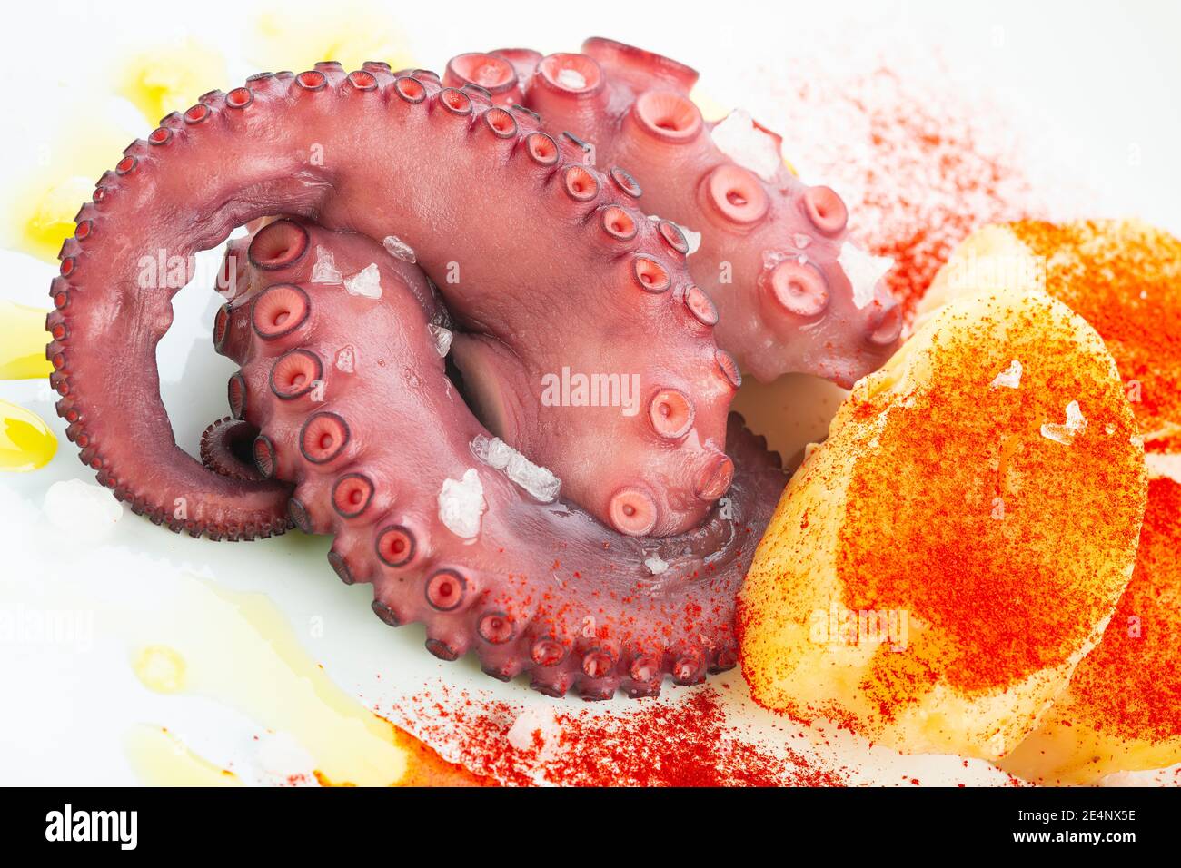 Tentacle octopus isolated hi-res stock photography and images - Alamy