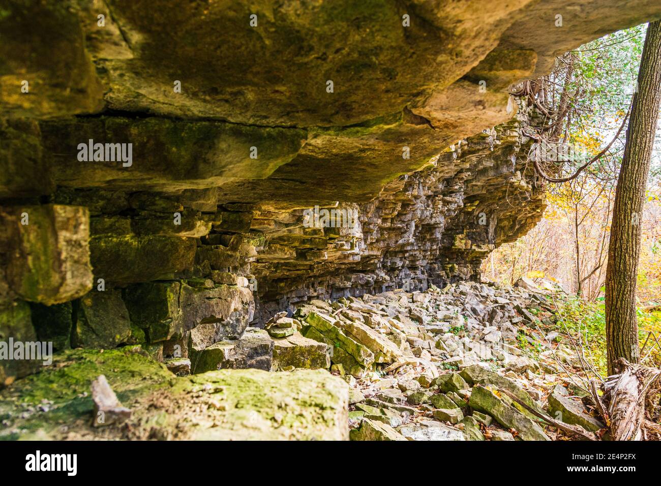 Hilton Falls Conservation Area Hamilton Ontario Canada Stock Photo - Alamy
