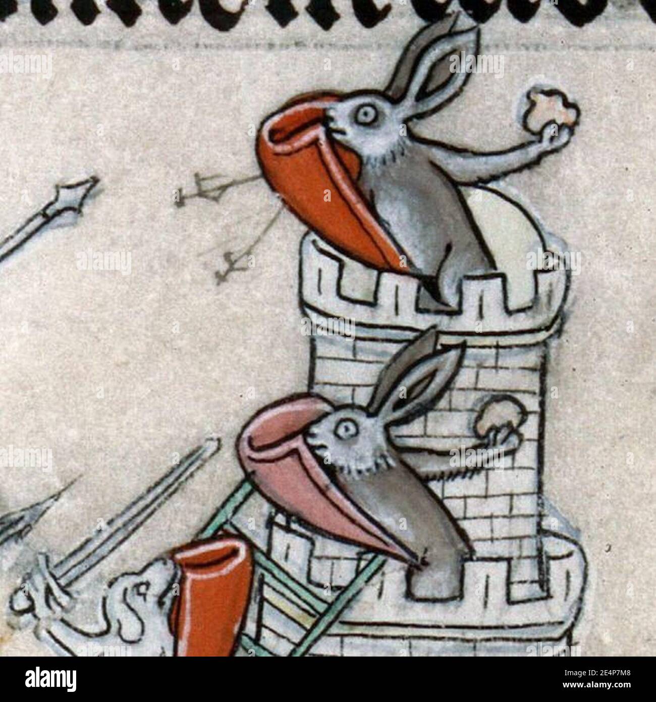 Medieval rabbits (5 Stock Photo - Alamy
