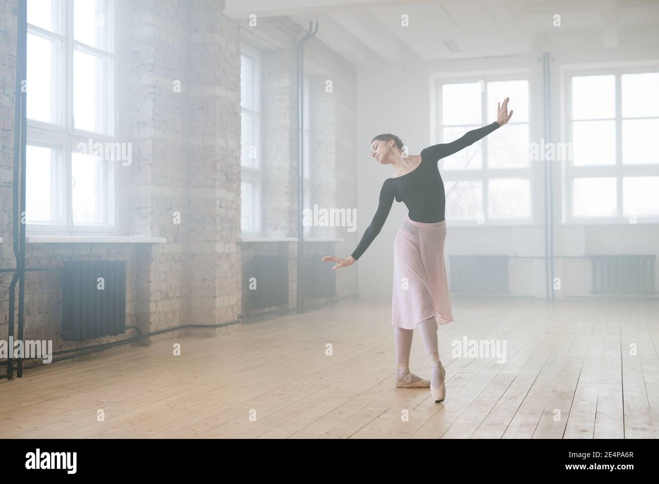 Portrait of an elegant refined ballet female dancer performing ballet ...