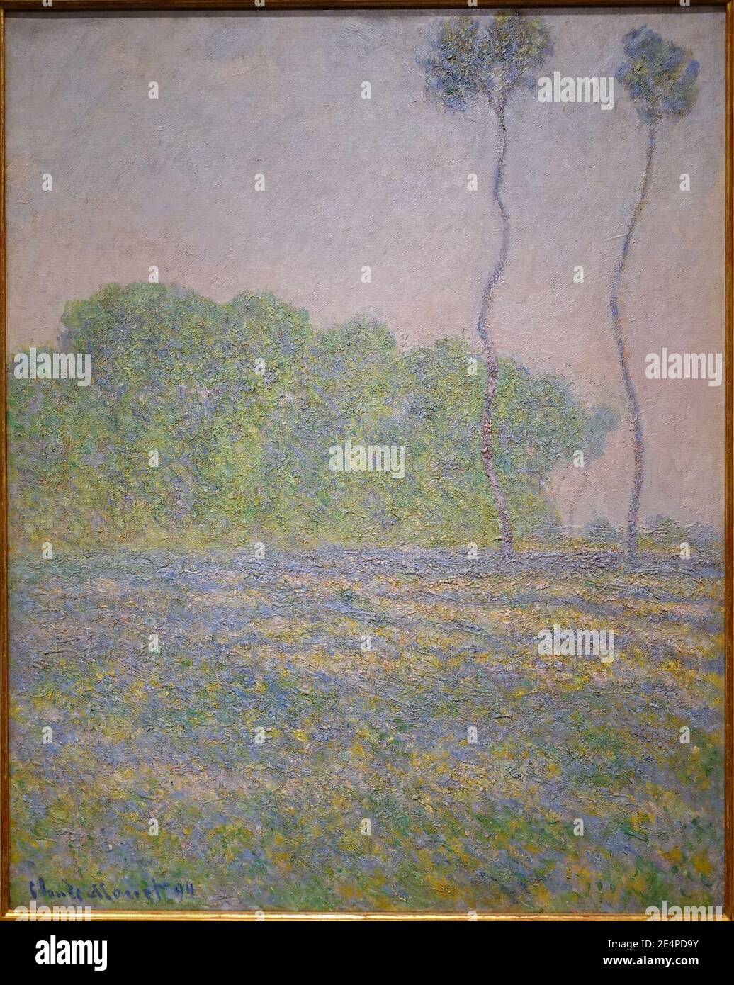 Meadow at Giverny, by Claude Monet, French, 1894 Stock Photo - Alamy