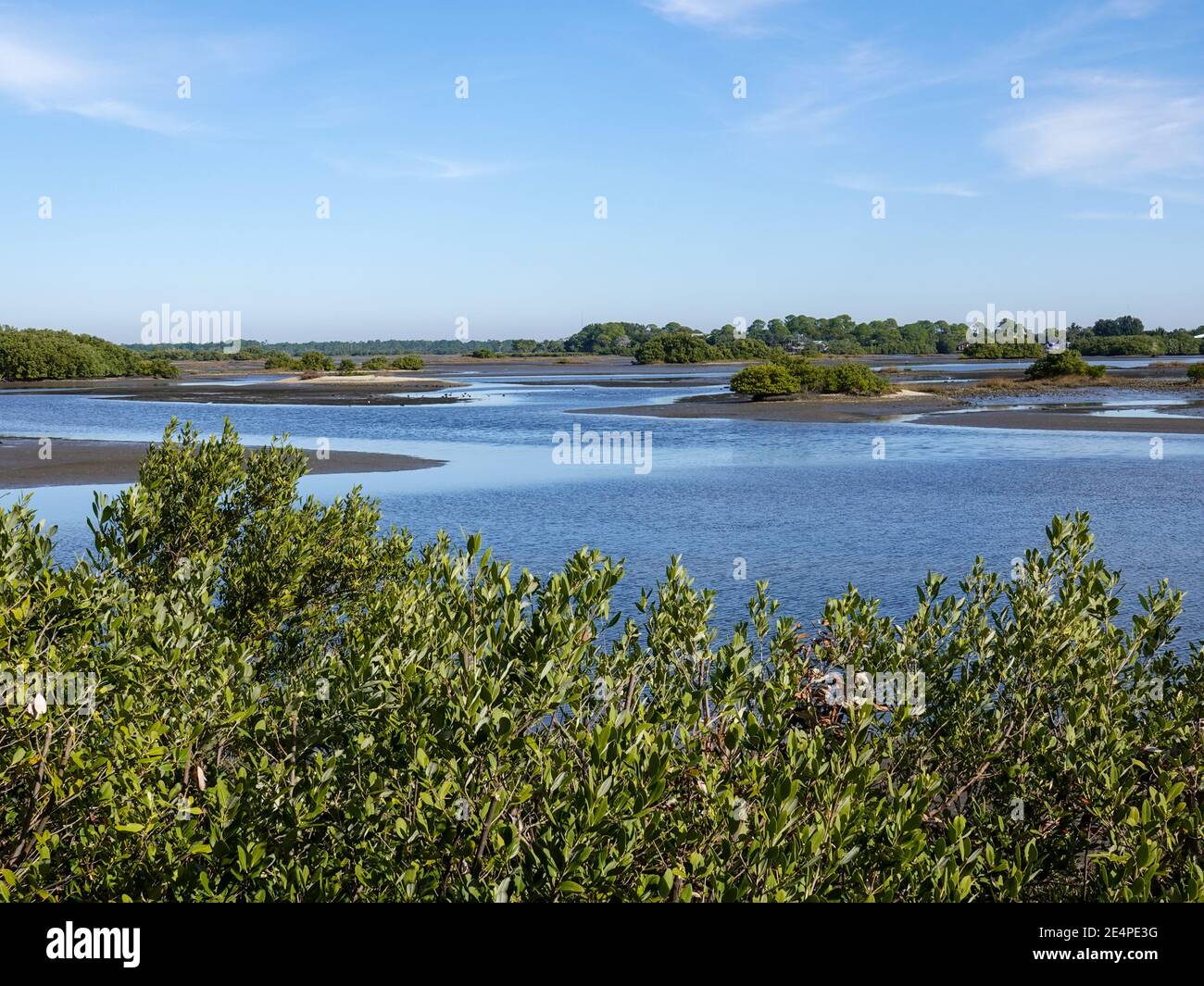 Cedar flats hi-res stock photography and images - Alamy