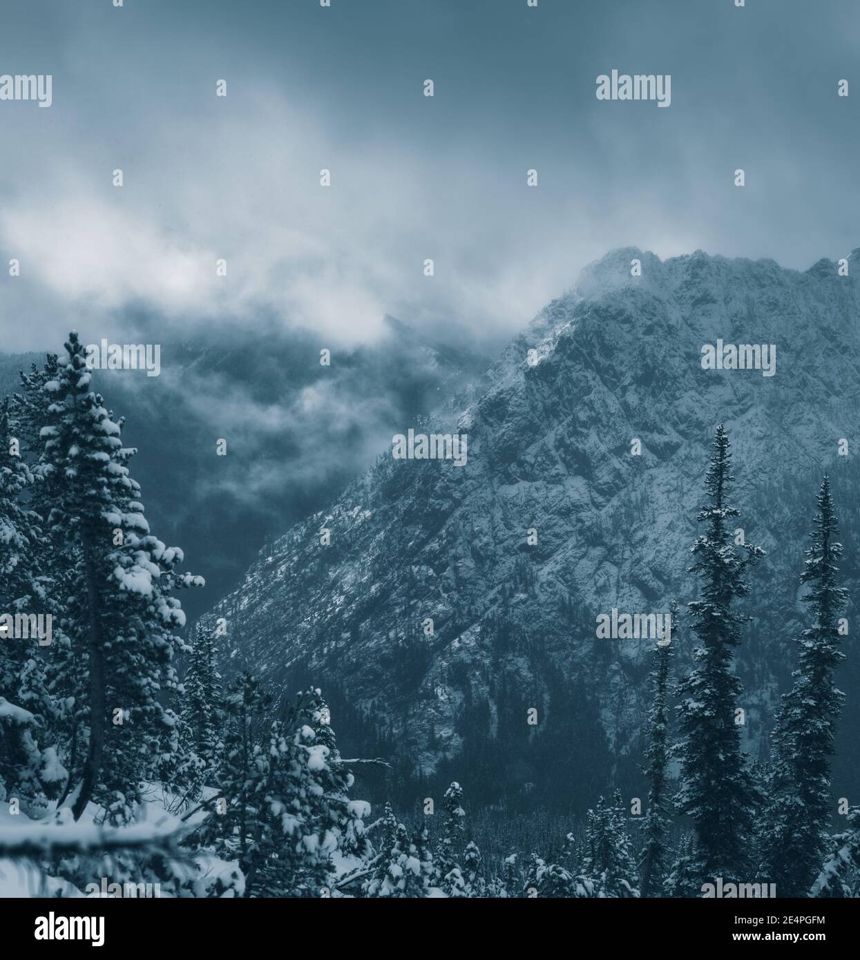 Panorama of dramatic snowy peaks above the clouds in the North Cascades ...