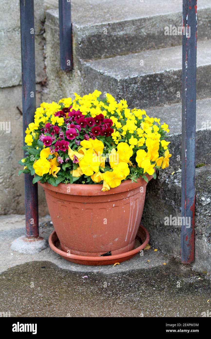 Tickle your fancy hi-res stock photography and images - Alamy