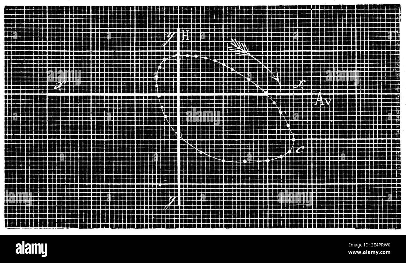 Graphique Cut Out Stock Images & Pictures - Alamy