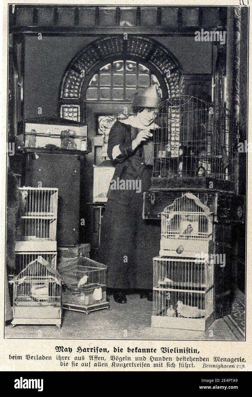 May Harrison, 1912 Stock Photo - Alamy