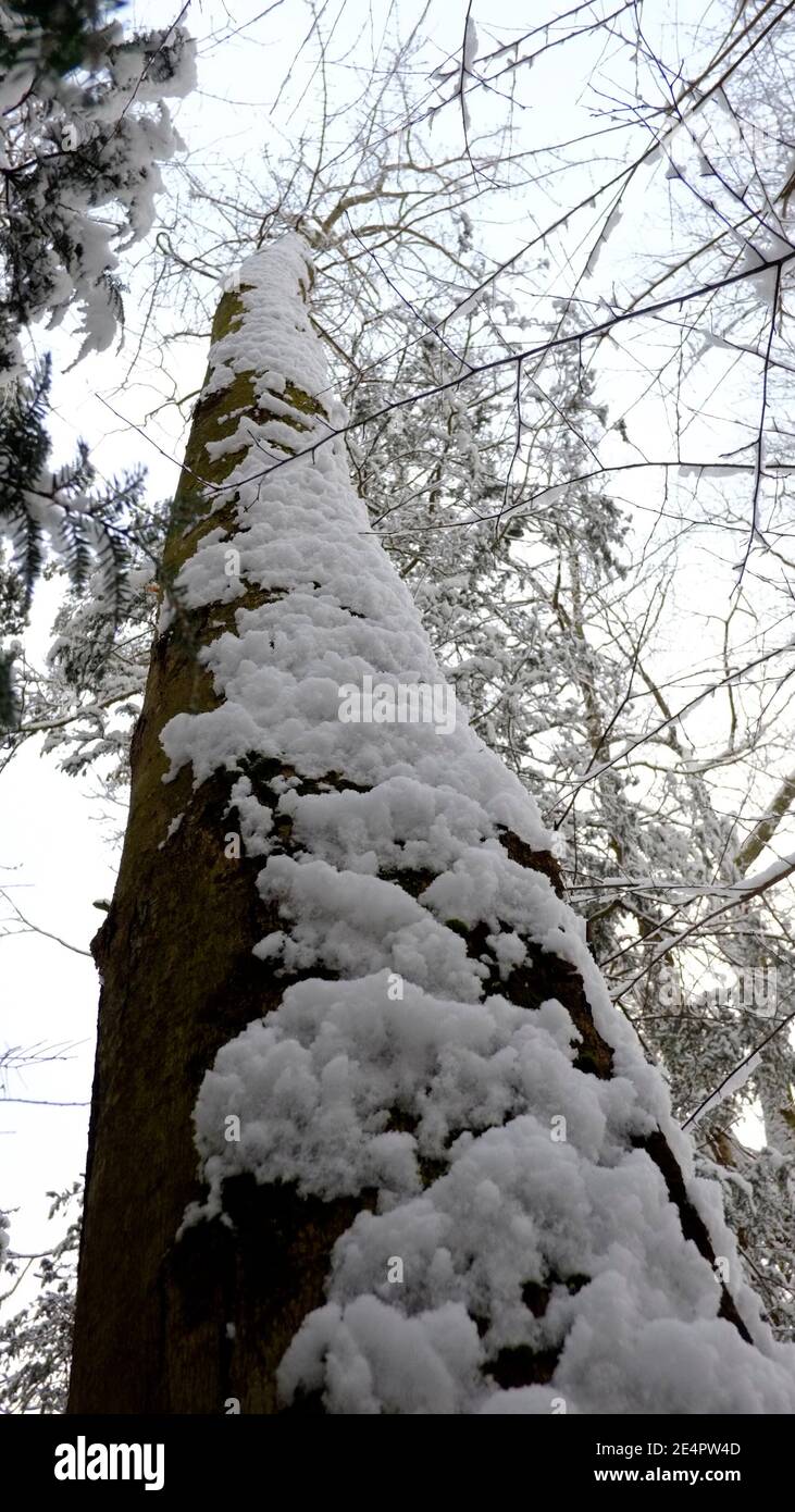 USA, Woodstock, NY. 2021 Northeastern snow storm hits Upstate New York ...