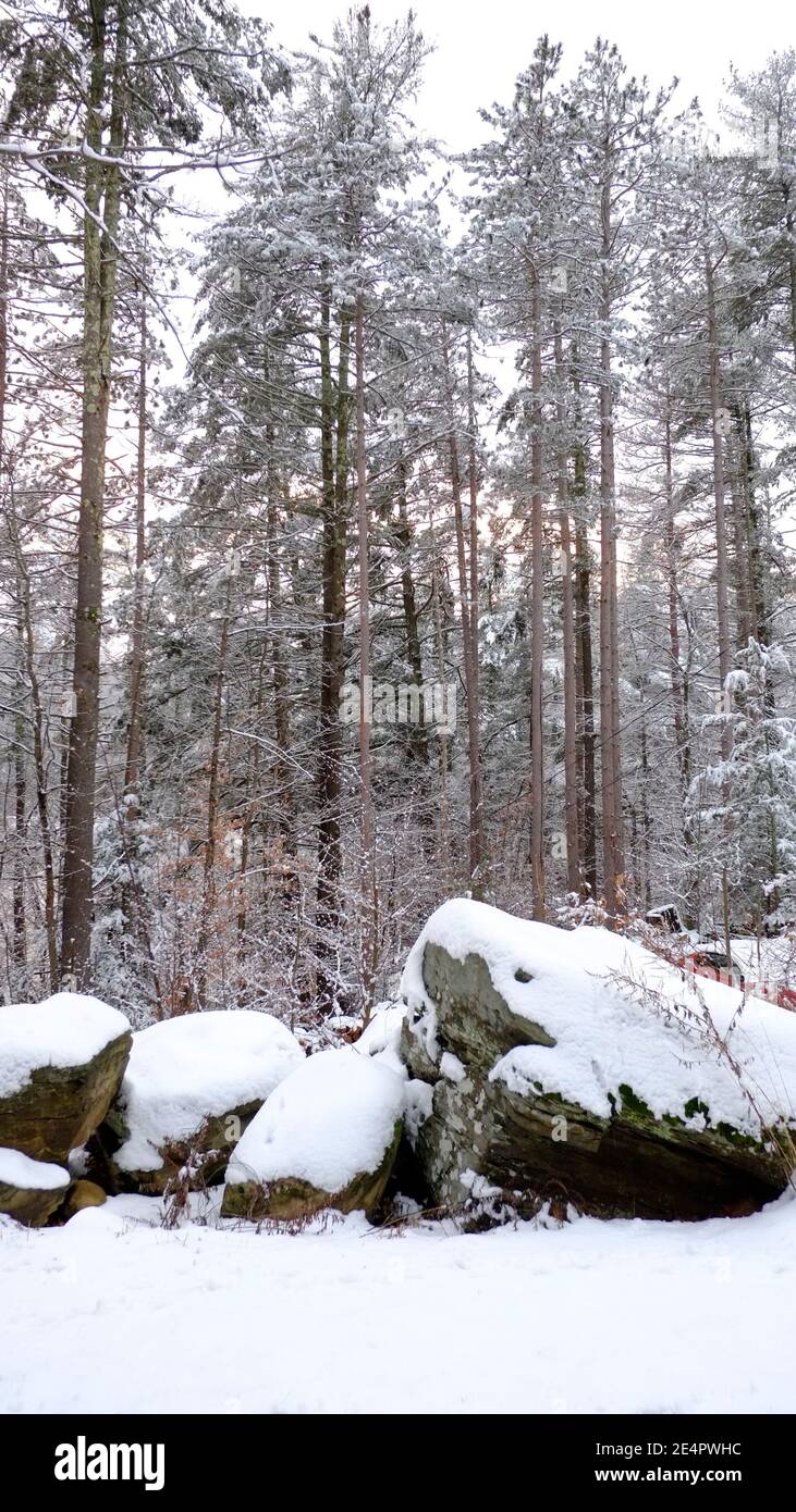 USA, Woodstock, NY. 2021 Northeastern snow storm hits Upstate New York ...