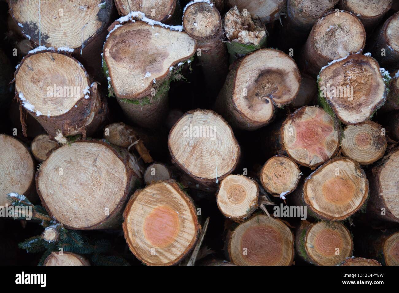 wood stack texture Stock Photo - Alamy
