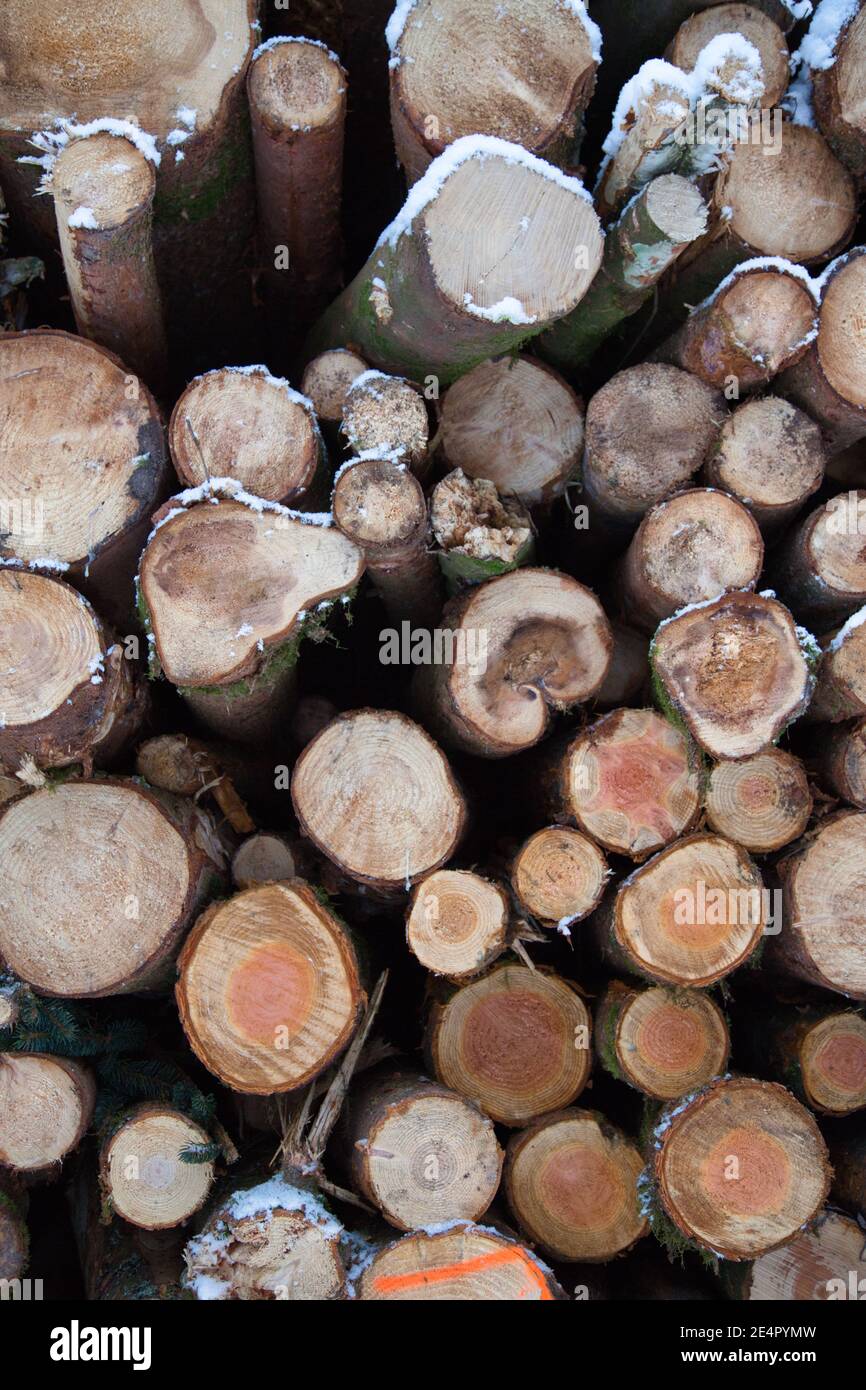 wood stack texture Stock Photo - Alamy