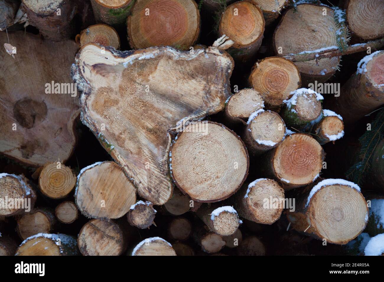 wood stack texture Stock Photo - Alamy