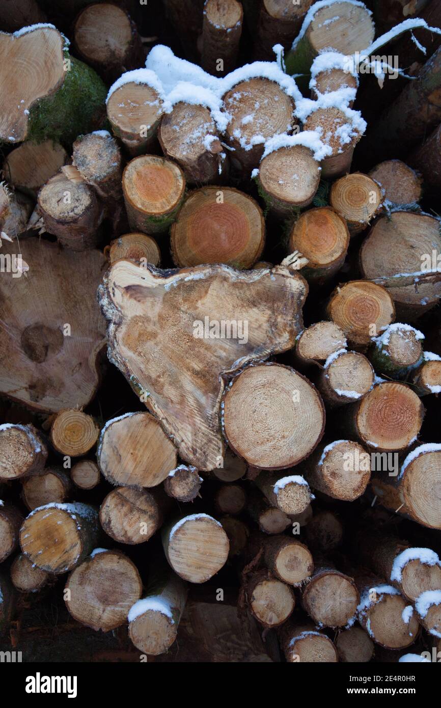 wood stack texture Stock Photo - Alamy