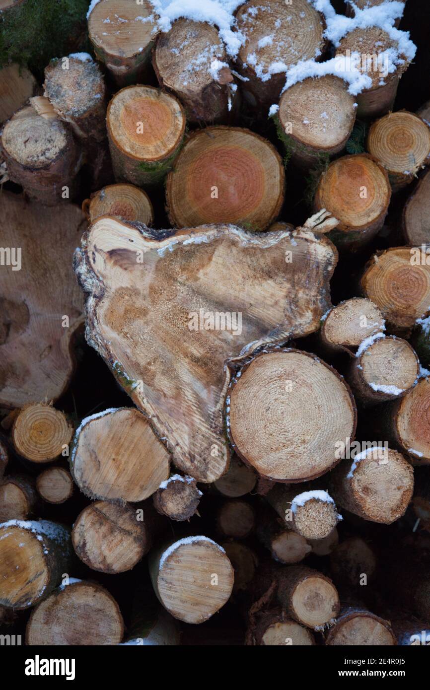 wood stack texture Stock Photo - Alamy