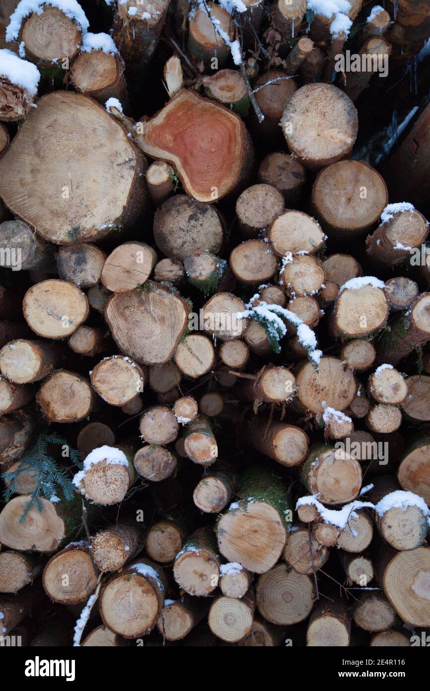 wood stack texture Stock Photo - Alamy