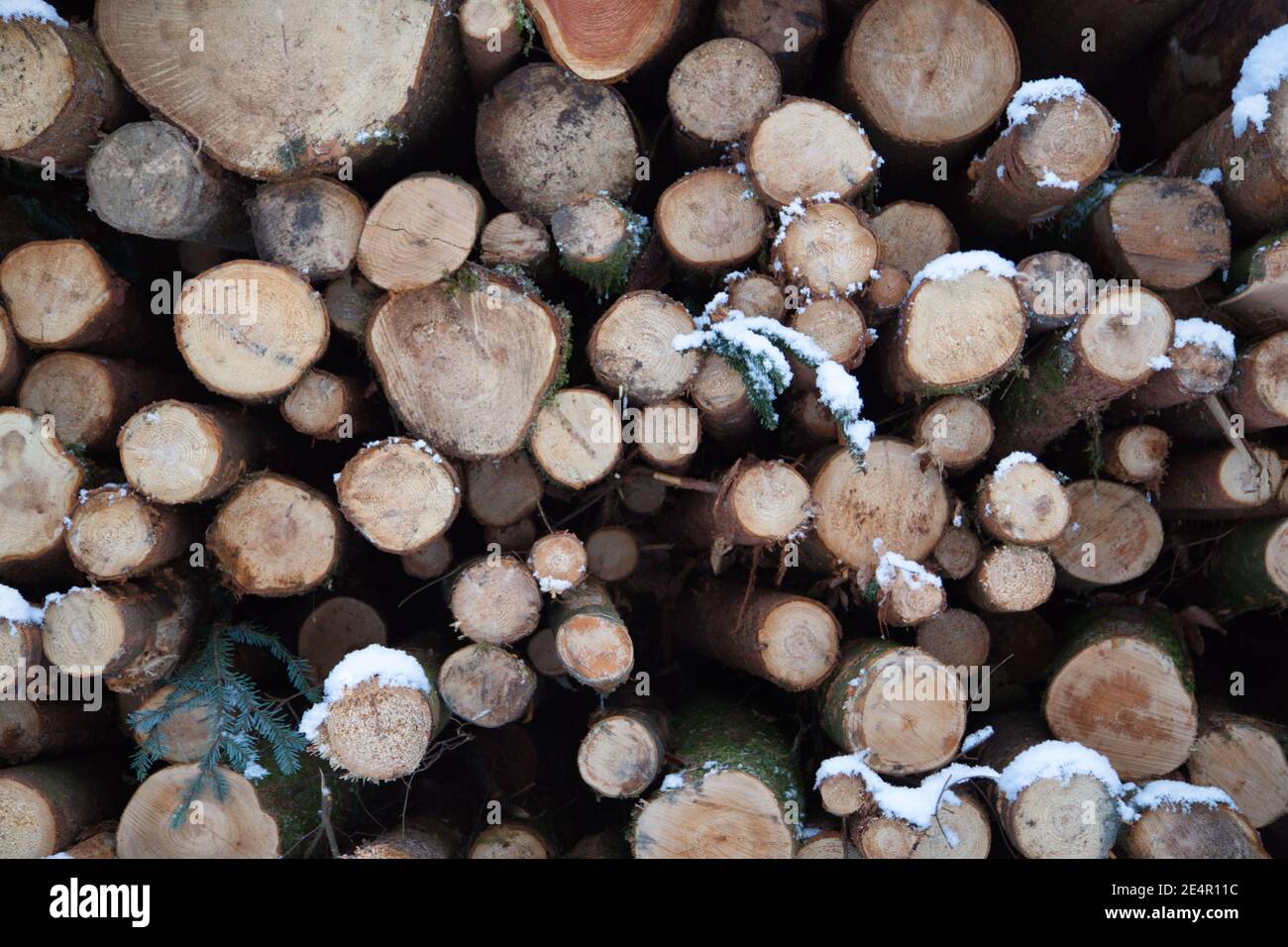 wood stack texture Stock Photo - Alamy