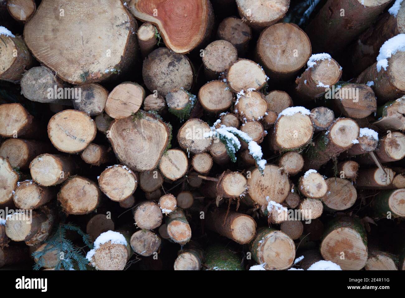 wood stack texture Stock Photo - Alamy