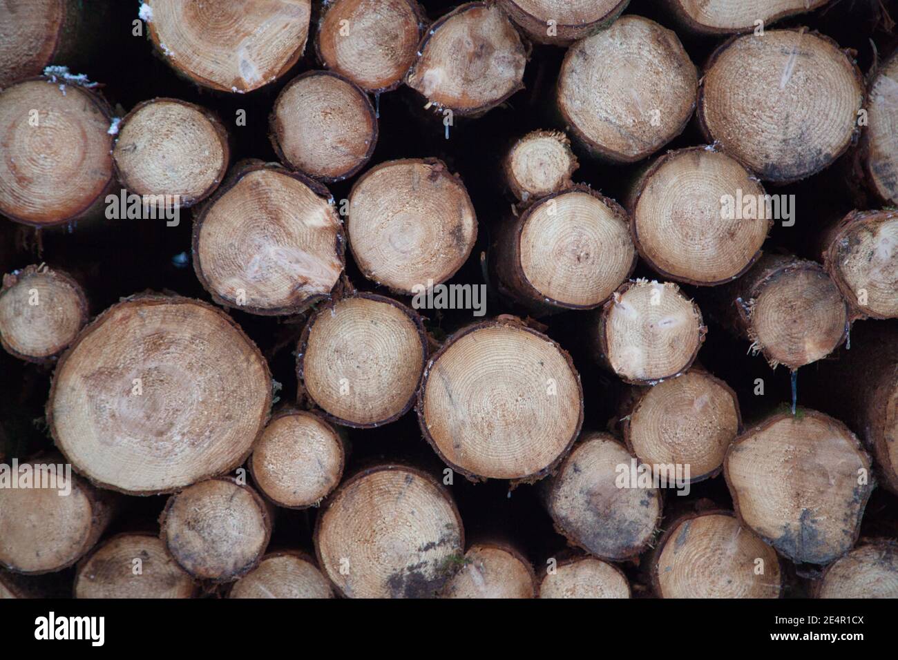 wood stack texture Stock Photo - Alamy