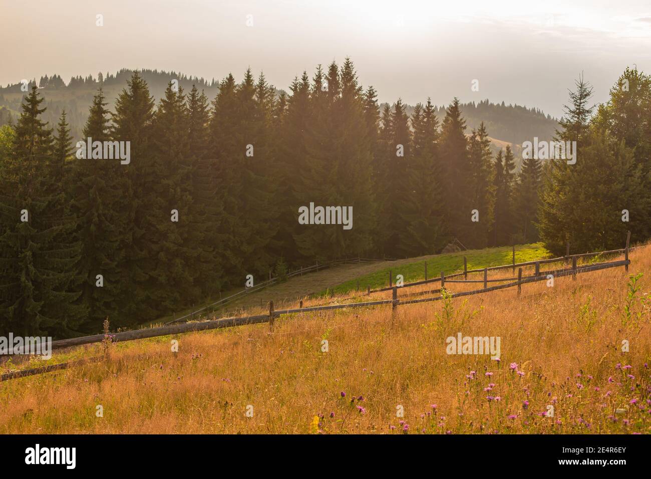 Mountain hills pure nature rural landscape. Fence from wooden logs ...
