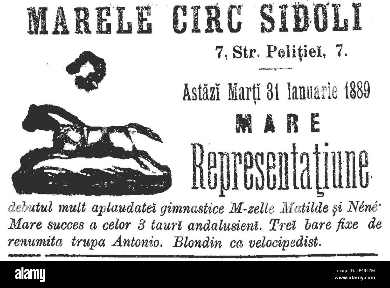 Sidoli hi-res stock photography and images - Alamy