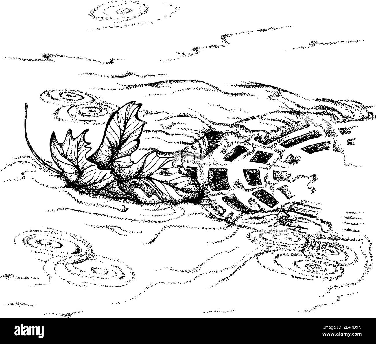 Maple Leaf floating in the drain in rainy weather. Vector hand drawn ...