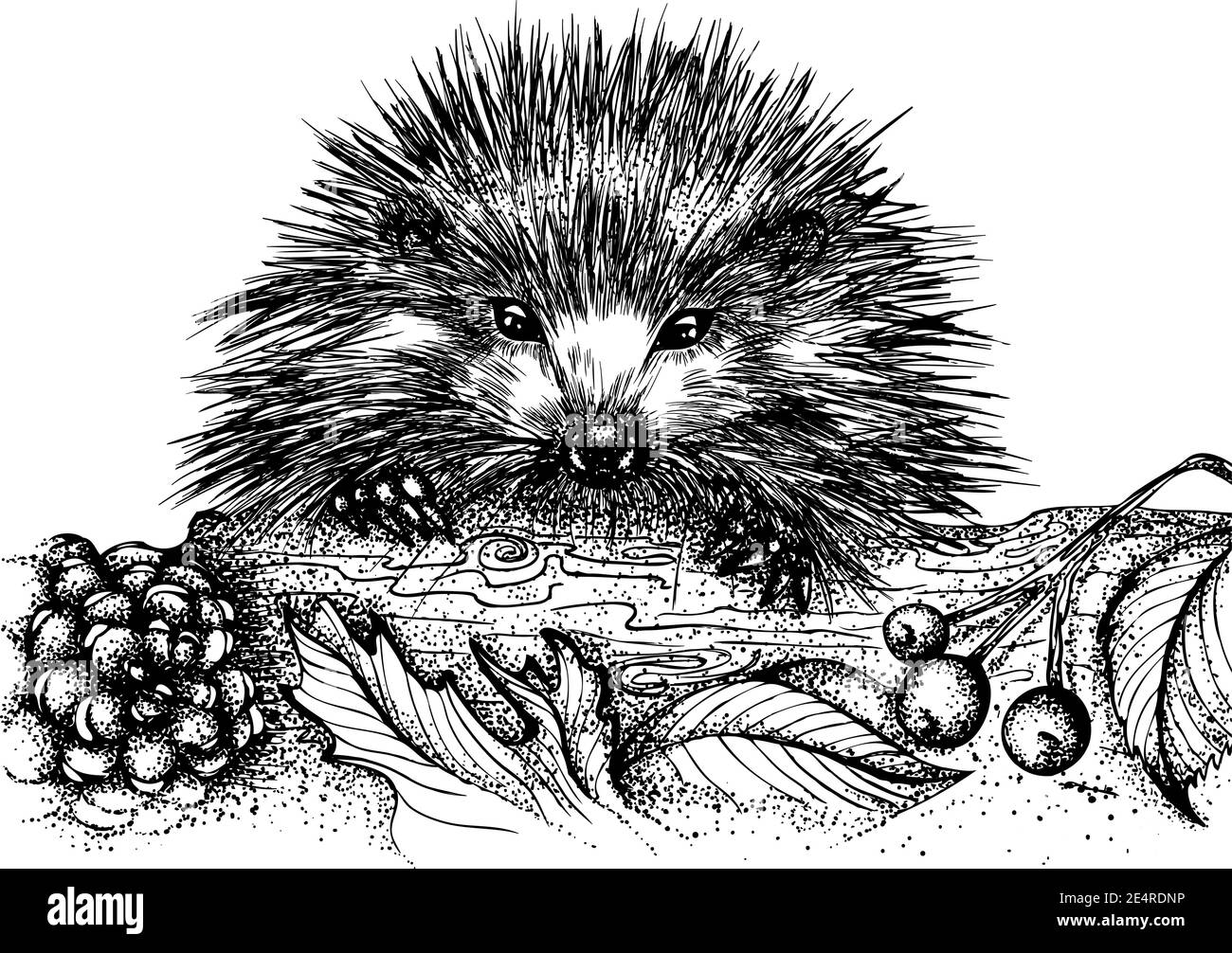 Portrait of a cute hedgehog climbing over a log. Vector hand drawn ...