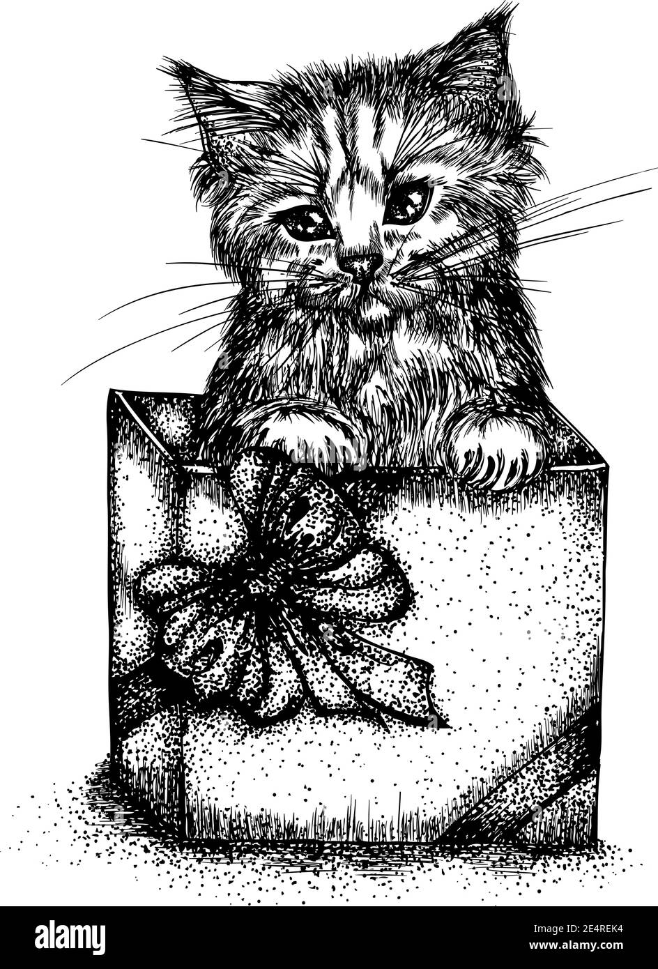 Portrait little kitten on Stock Vector Images - Alamy