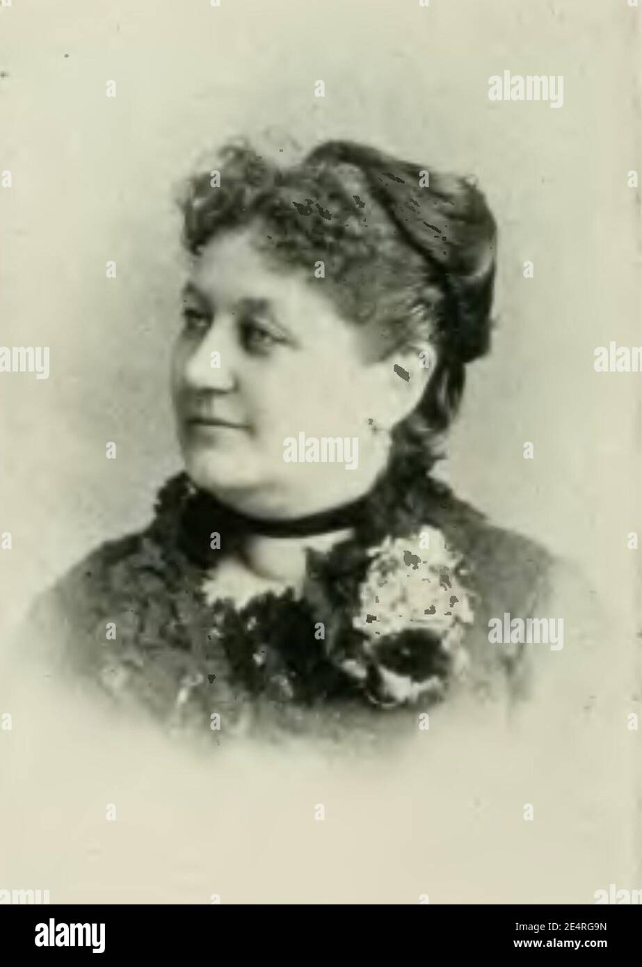 MARY ELIZABETH WILLSON A woman of the century (page 796 crop Stock ...
