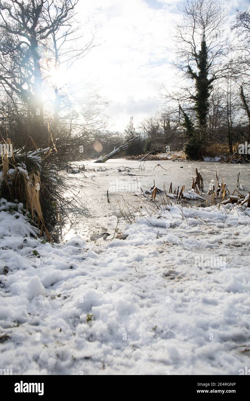 Frozen photos hi-res stock photography and images - Alamy