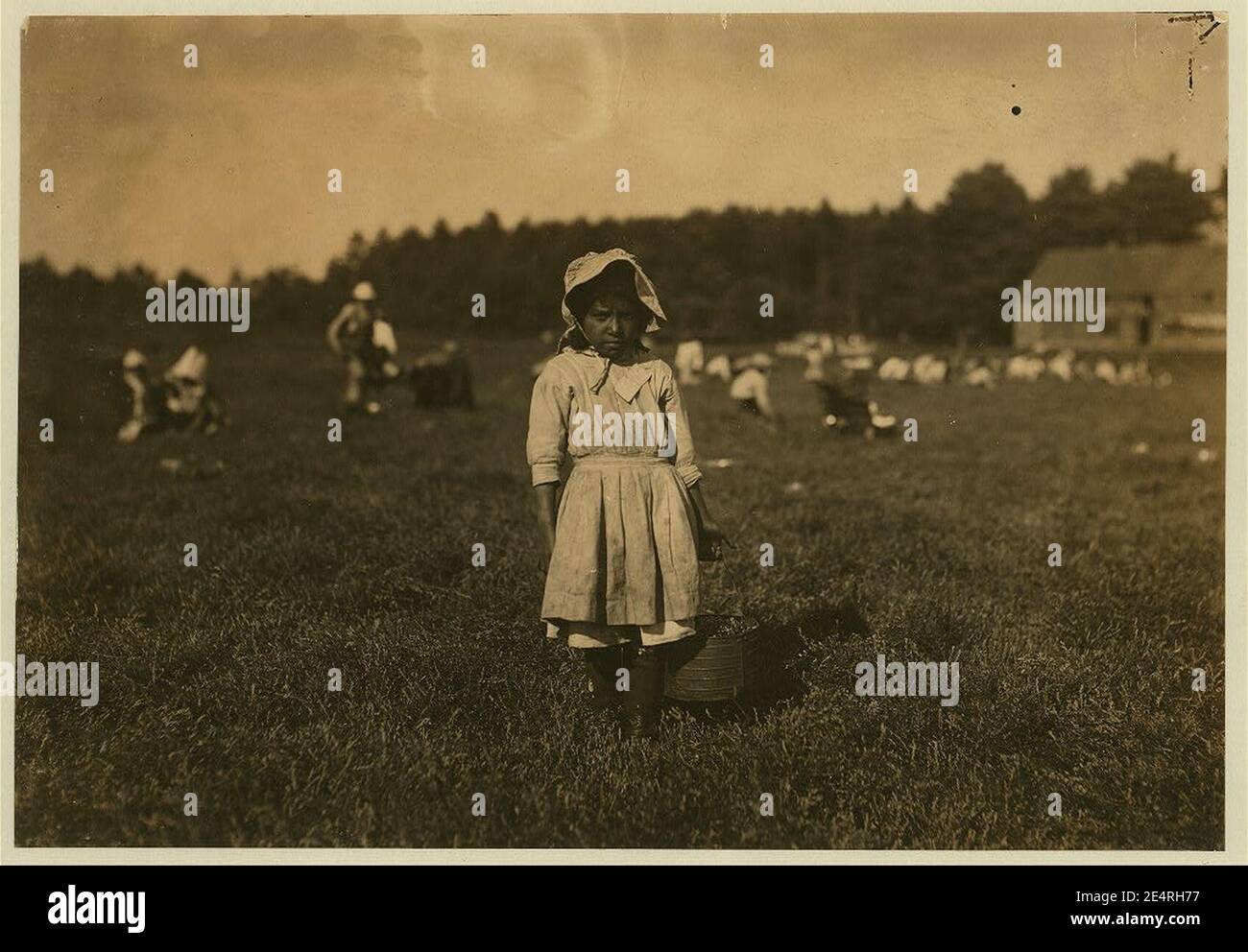 Mary Gilbert carrying cranberries. Said 10 years old Stock Photo - Alamy