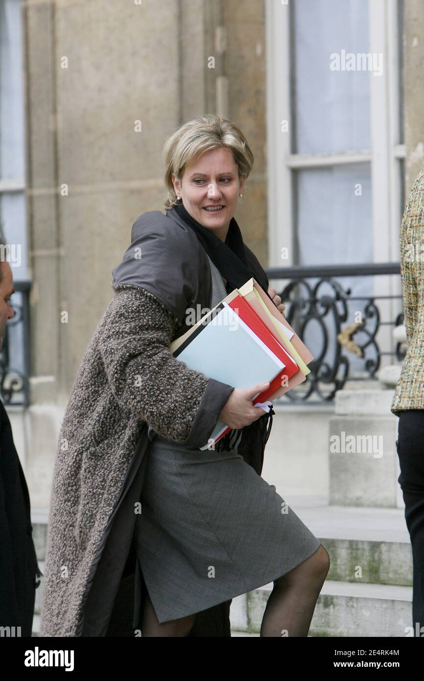 Newly named Junior Minister Nadine Morano arrives at the Elysee Palace ...