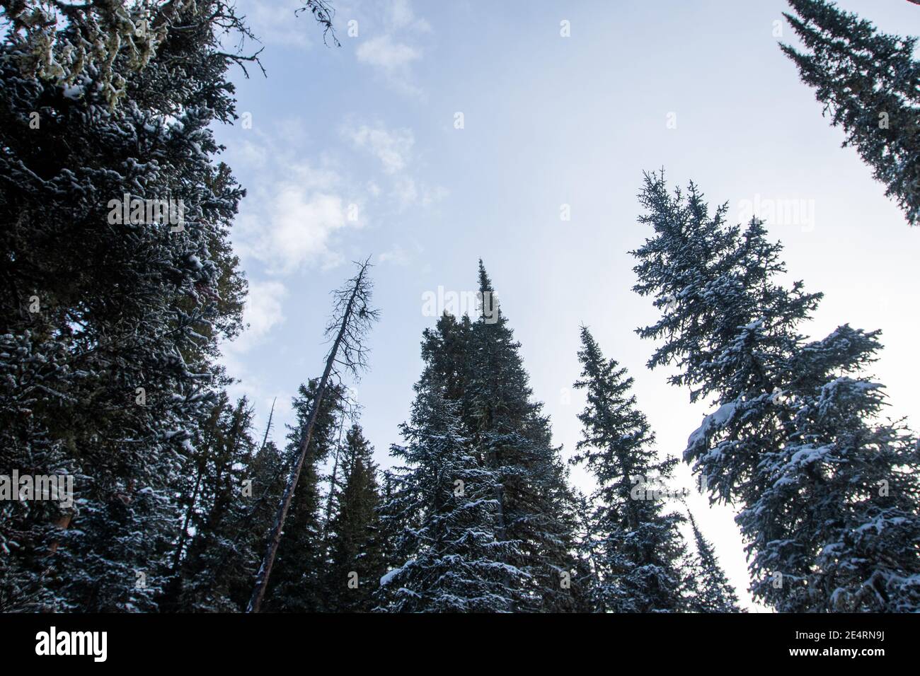 Hyalite Reservoir Bozeman MT Stock Photo - Alamy