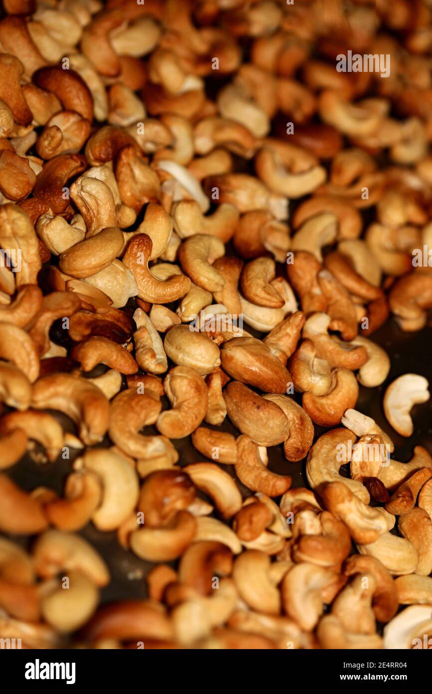 Cashew family hi-res stock photography and images - Alamy