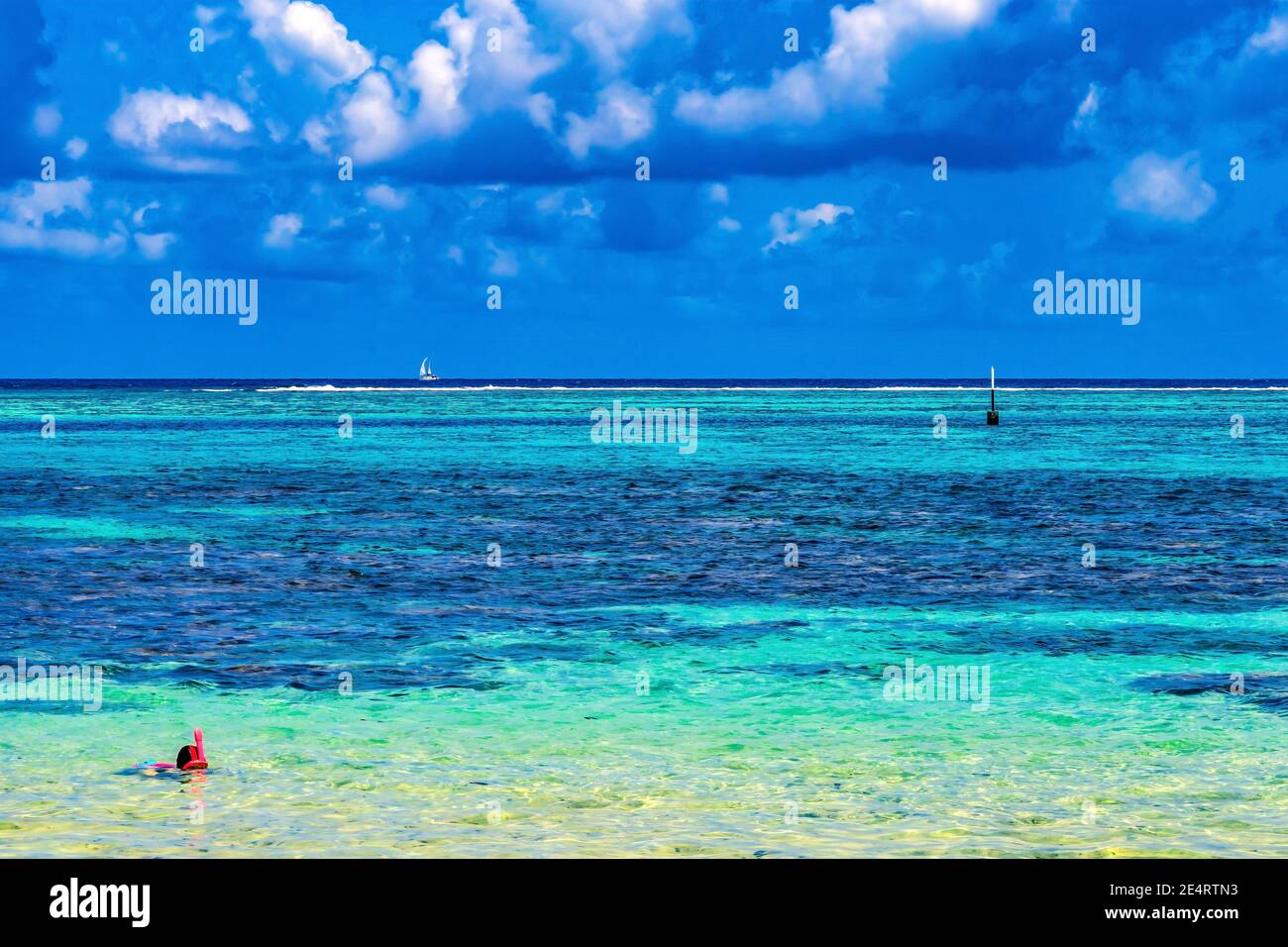 Tropical Reef Fish Polynesia High Resolution Stock Photography and ...
