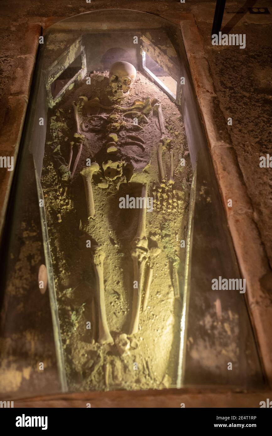Crypt archeology hi-res stock photography and images - Alamy