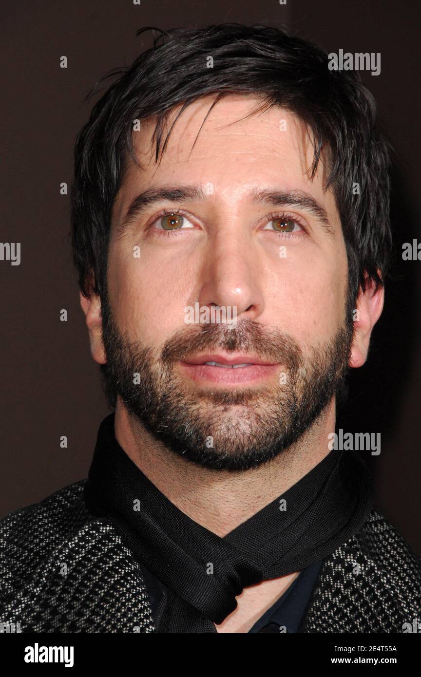 Actor/director David Schwimmer attends the premiere of 'Run Fat Boy Run ...