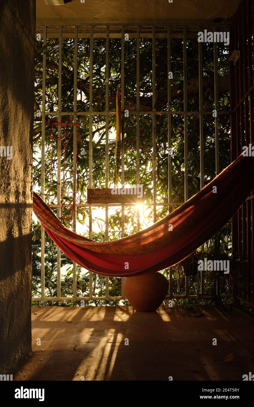 Hammock backlit at golden hour in Puerto Rico. High quality photo Stock ...