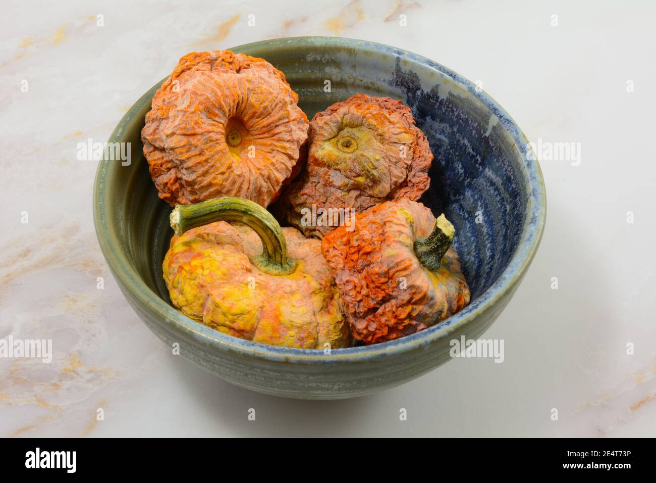 Spoiled pumpkins hi-res stock photography and images - Alamy Spoiled pumpkins hi-res stock photography and images - Alamy