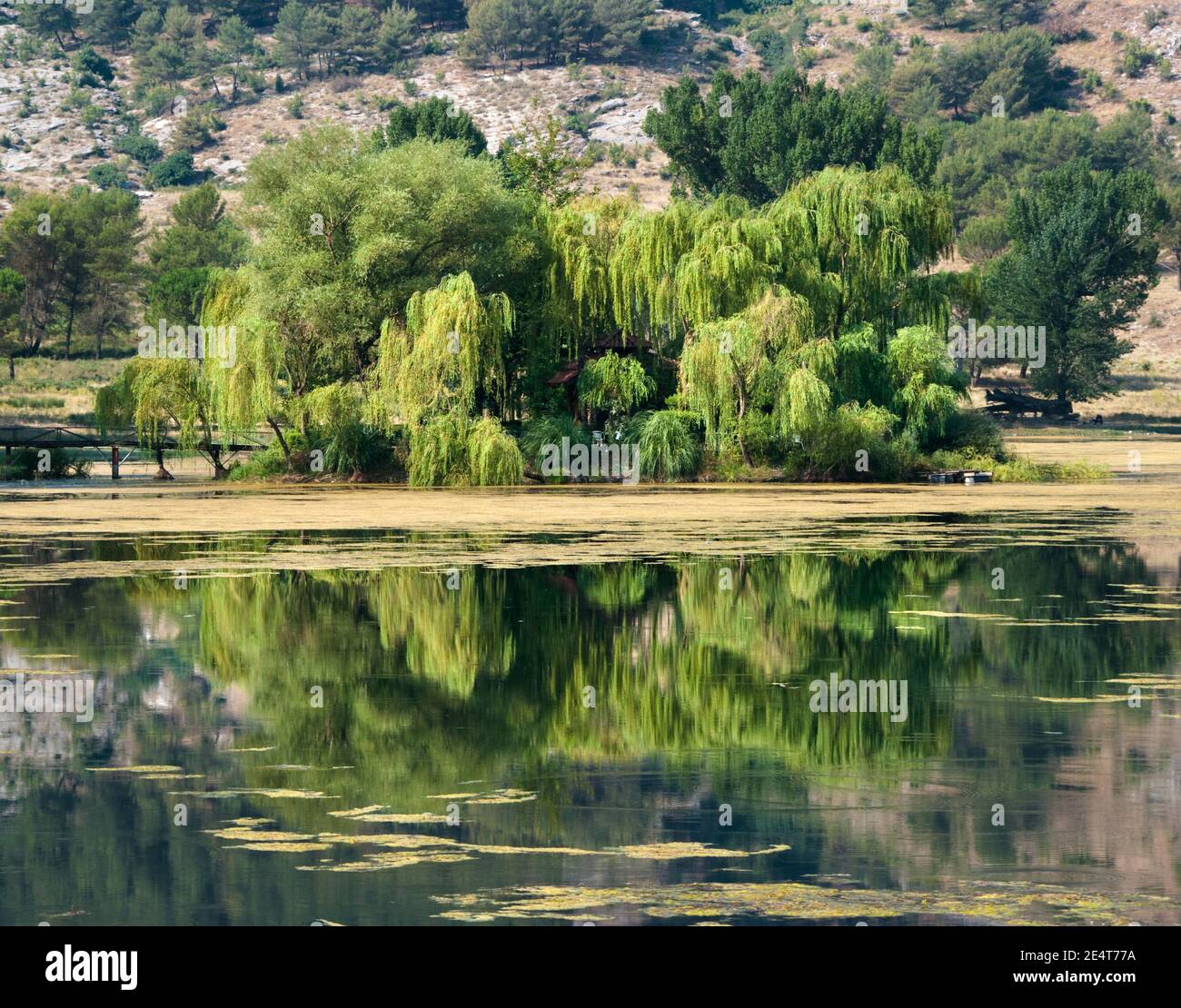 symmetrical landscape with trees and reflection on the lake Stock Photo ...