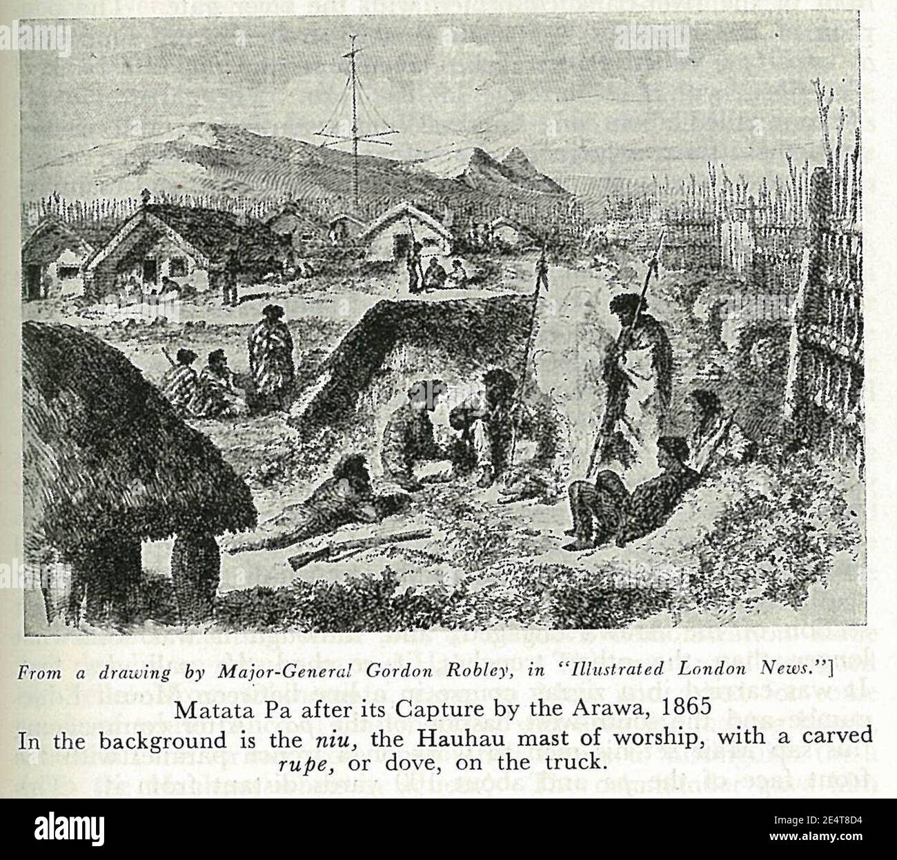 Arawa hi-res stock photography and images - Alamy