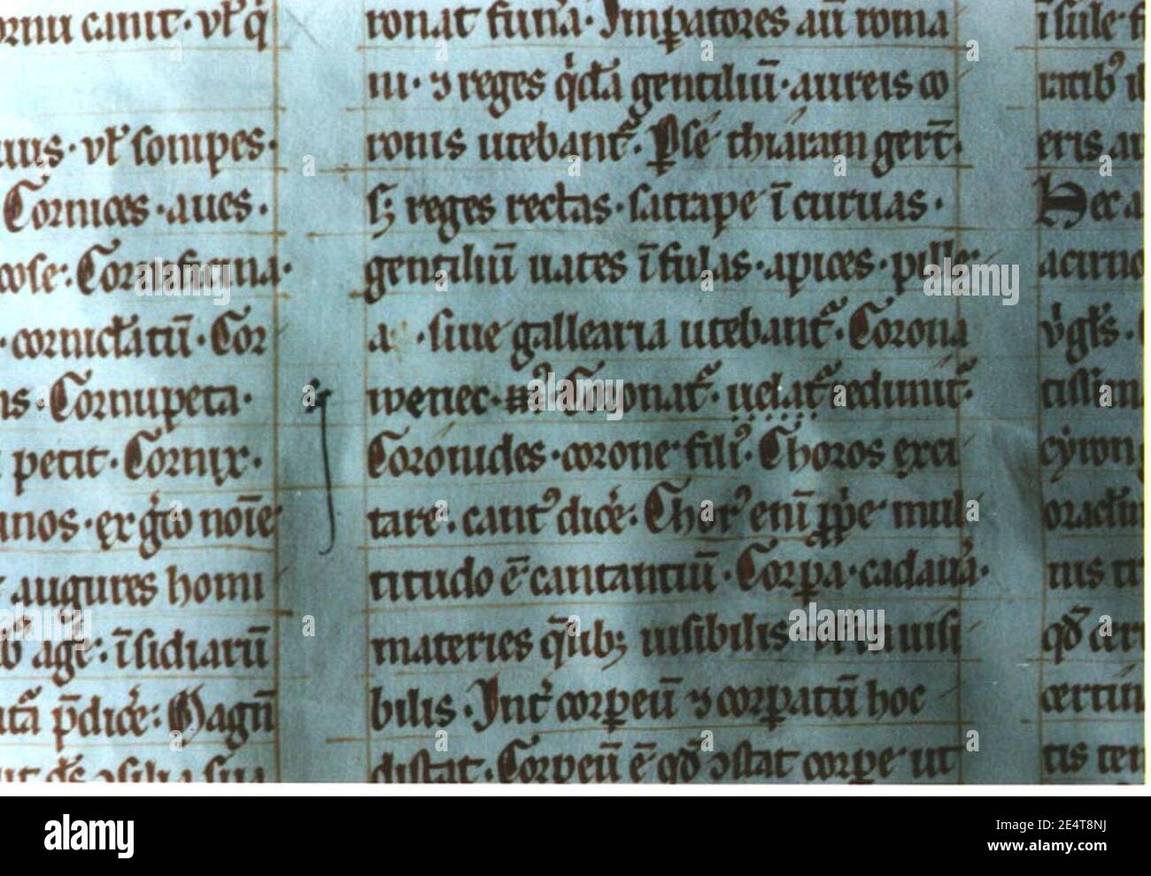 Verborum hi-res stock photography and images - Alamy