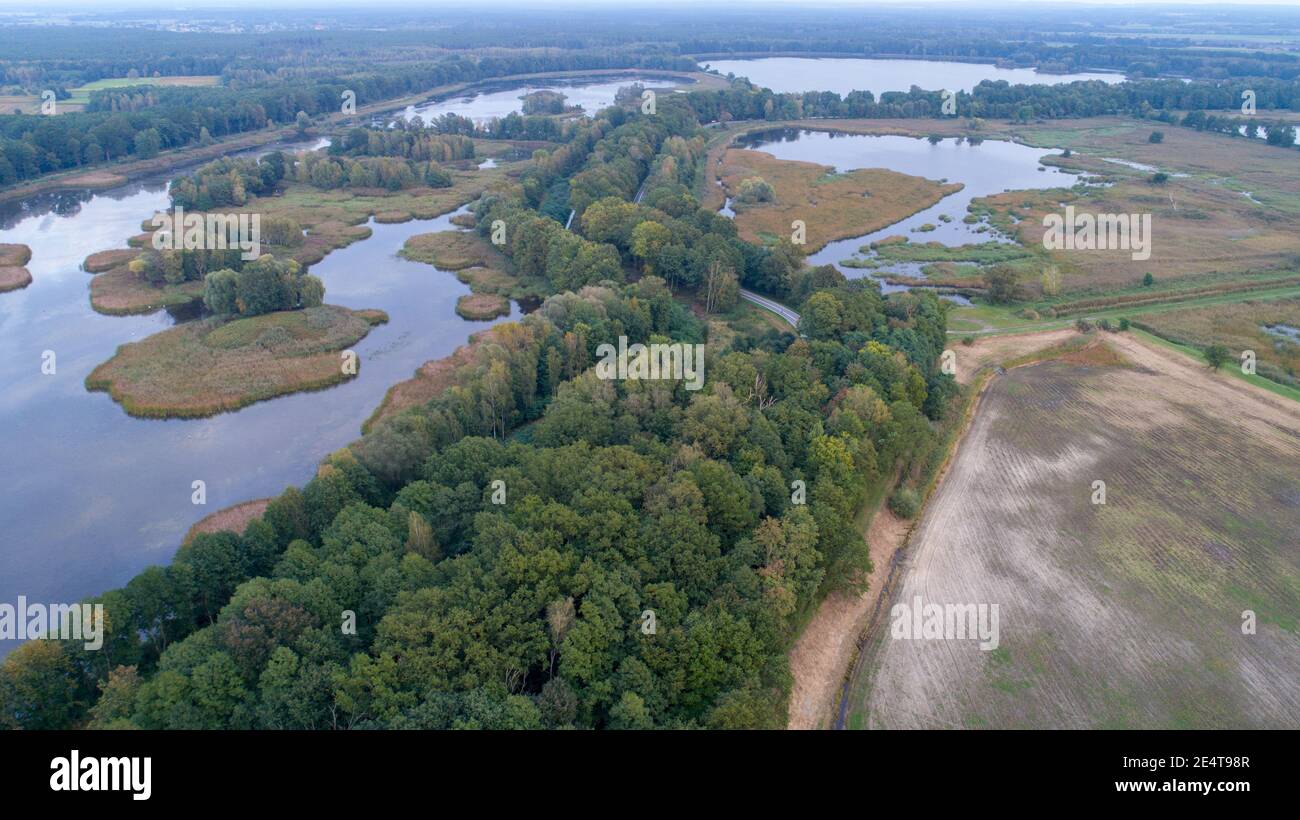 Milicz fish ponds hi-res stock photography and images - Alamy