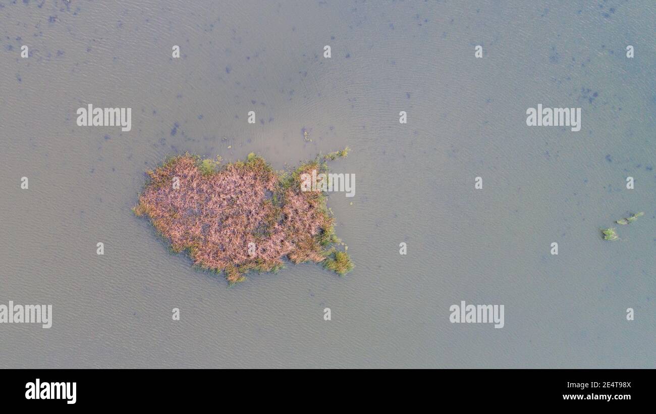 Milicz fish ponds hi-res stock photography and images - Alamy