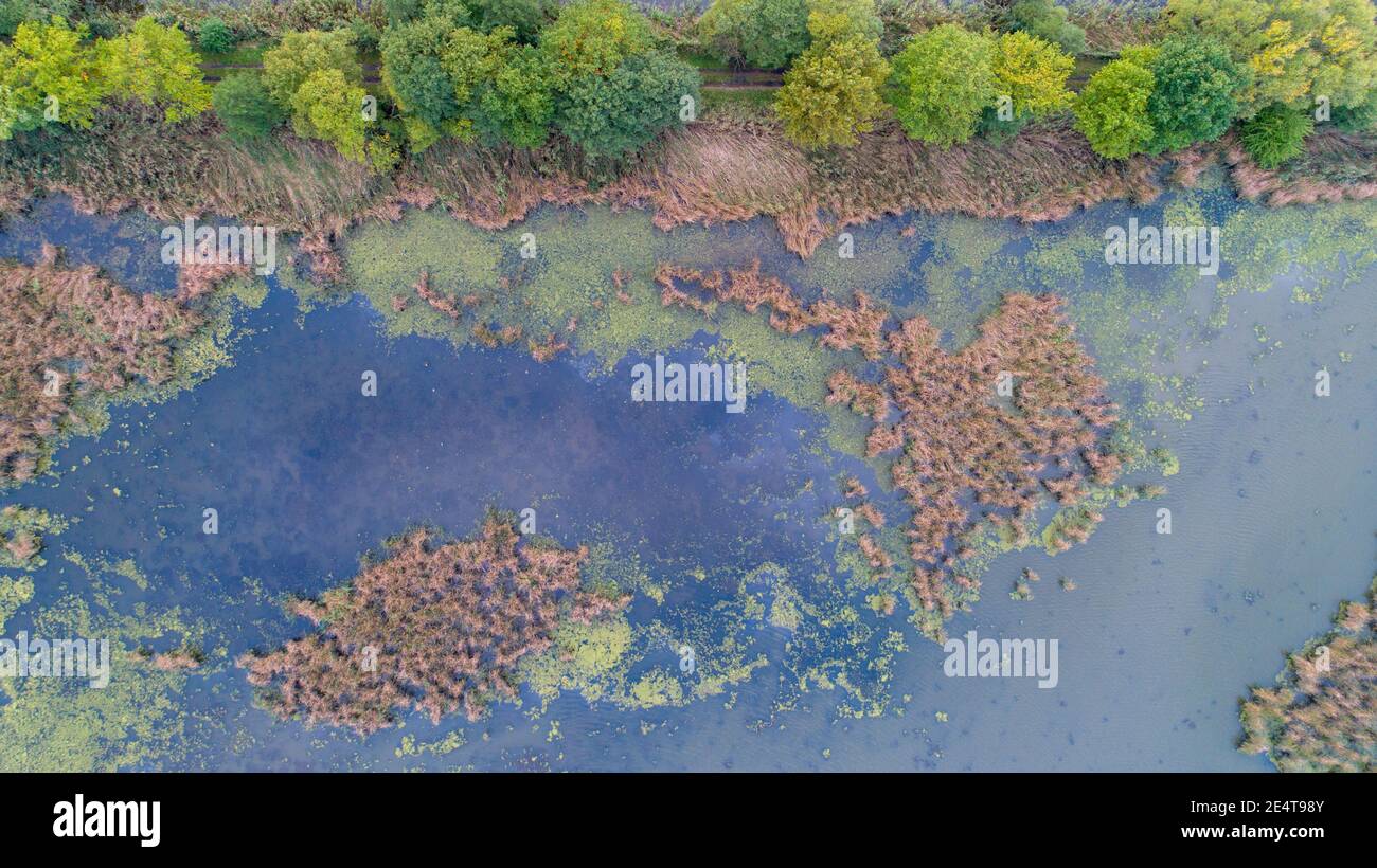 Milicz fish ponds hi-res stock photography and images - Alamy