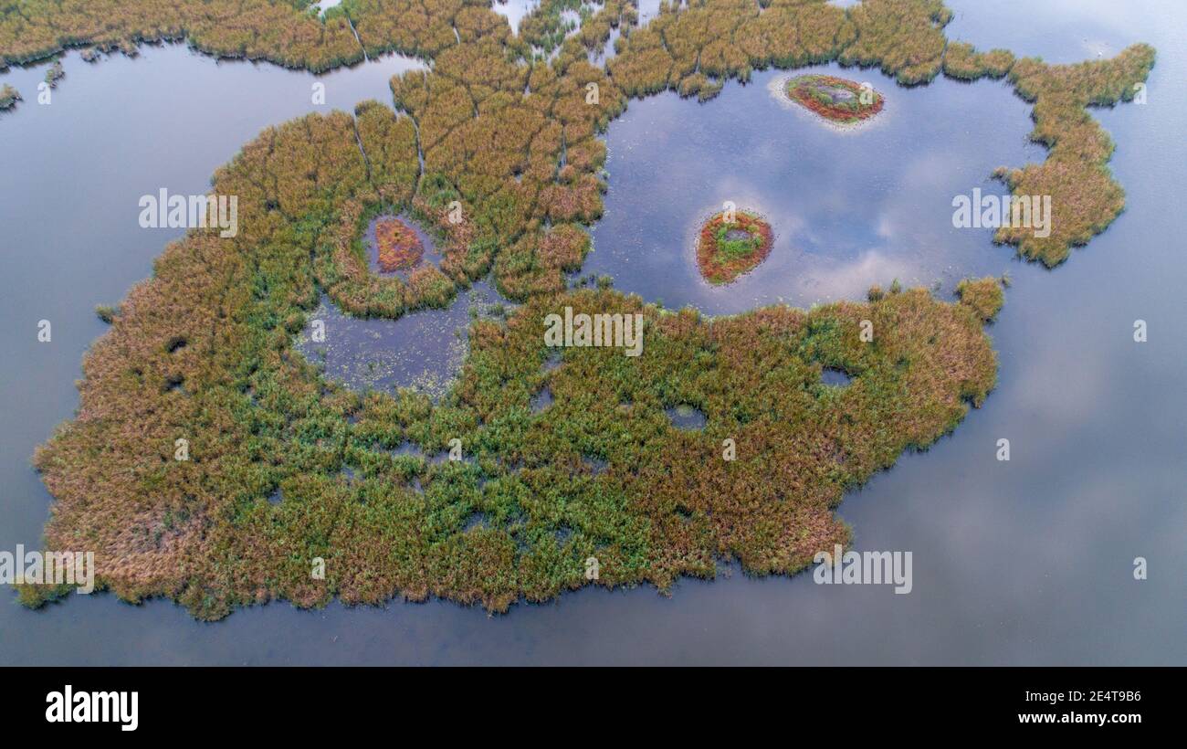 Milicz ponds nature reserve hi-res stock photography and images - Alamy