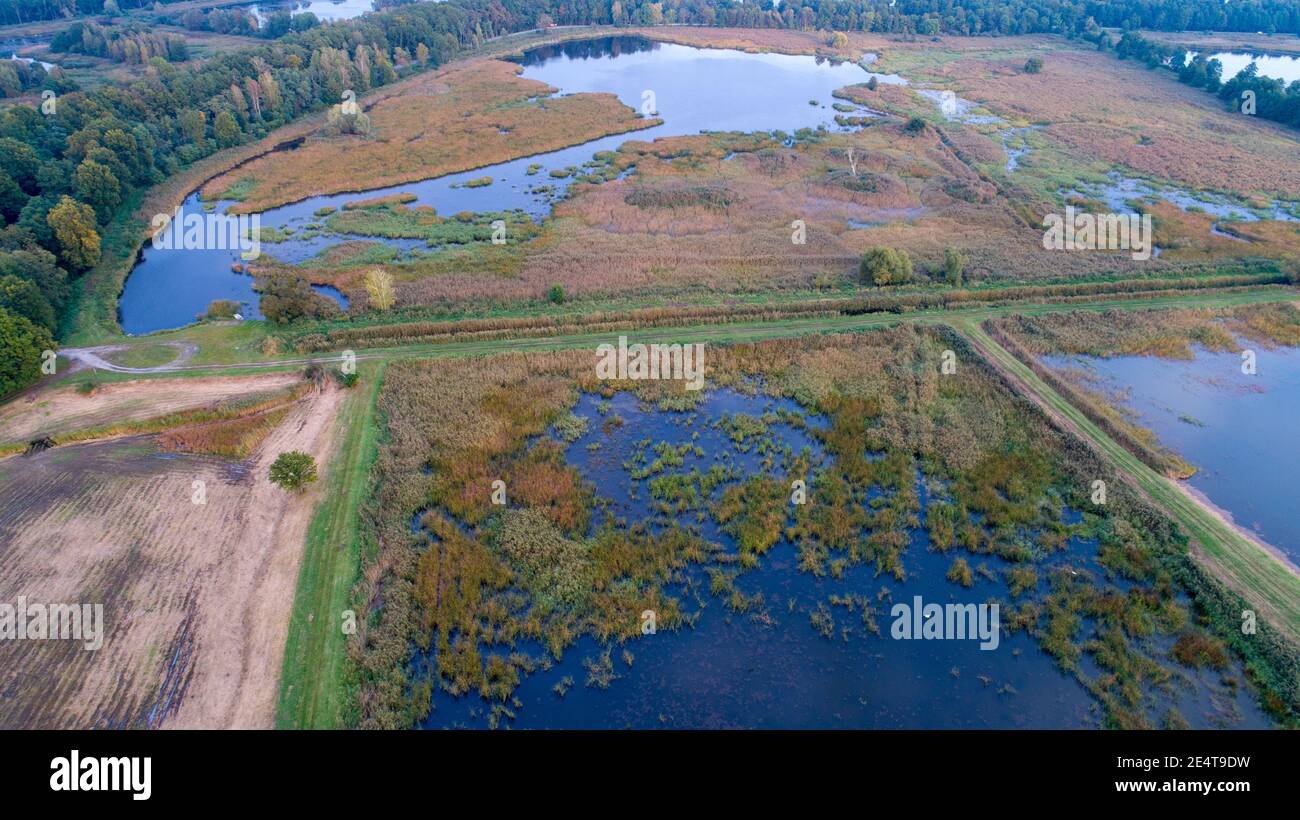Milicz ponds nature reserve hi-res stock photography and images - Alamy