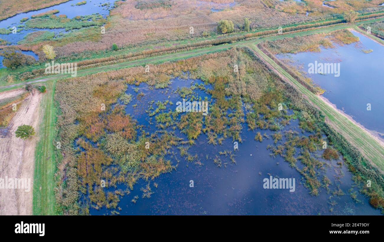 Aerial drone view of Milicz ponds in Poland Stock Photo - Alamy